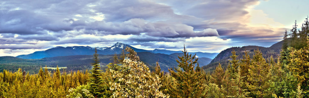 Environmental - ADENTRA