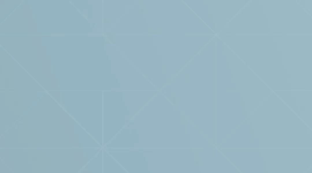 About ADENTRA - 6 Dynamic Flagship Brands